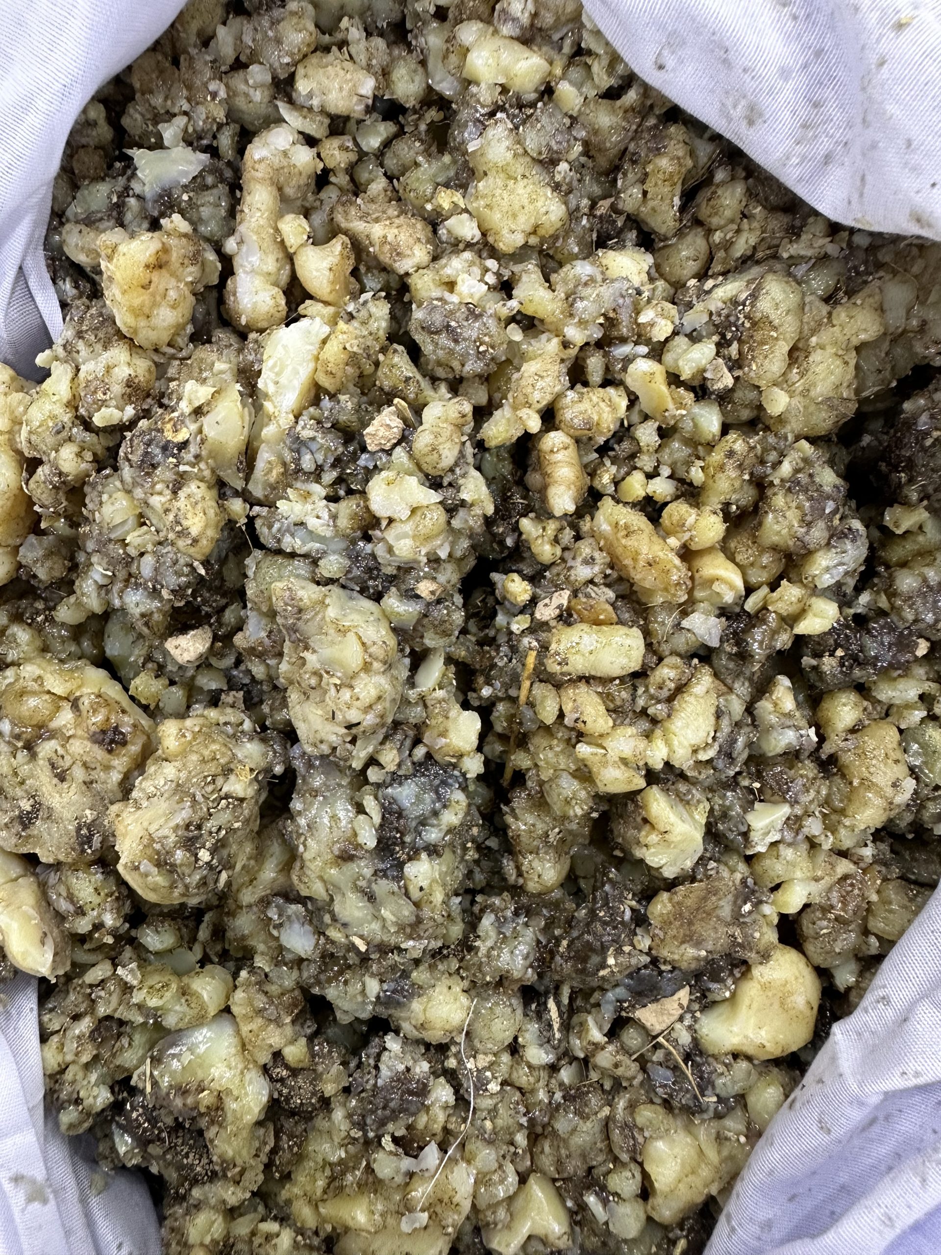 Live Products / Shipments - Al Nama Herbals General Trading LLC | Al ...