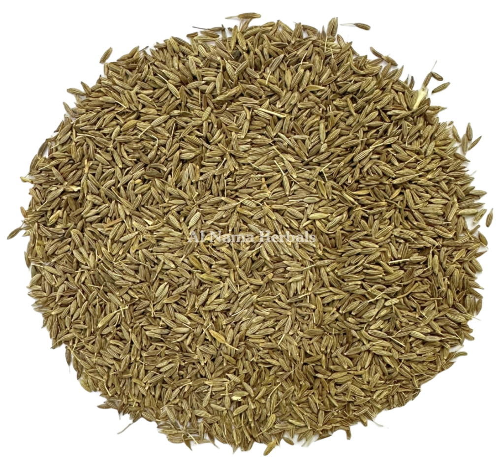 Cumin Seeds suppliers, exporters, wholesalers, Dubai - UAE | Al-Nama ...